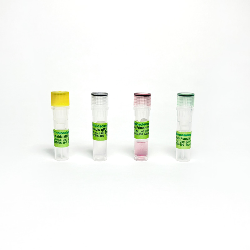 Cannabis Gender Detection Qpcr Bioquote